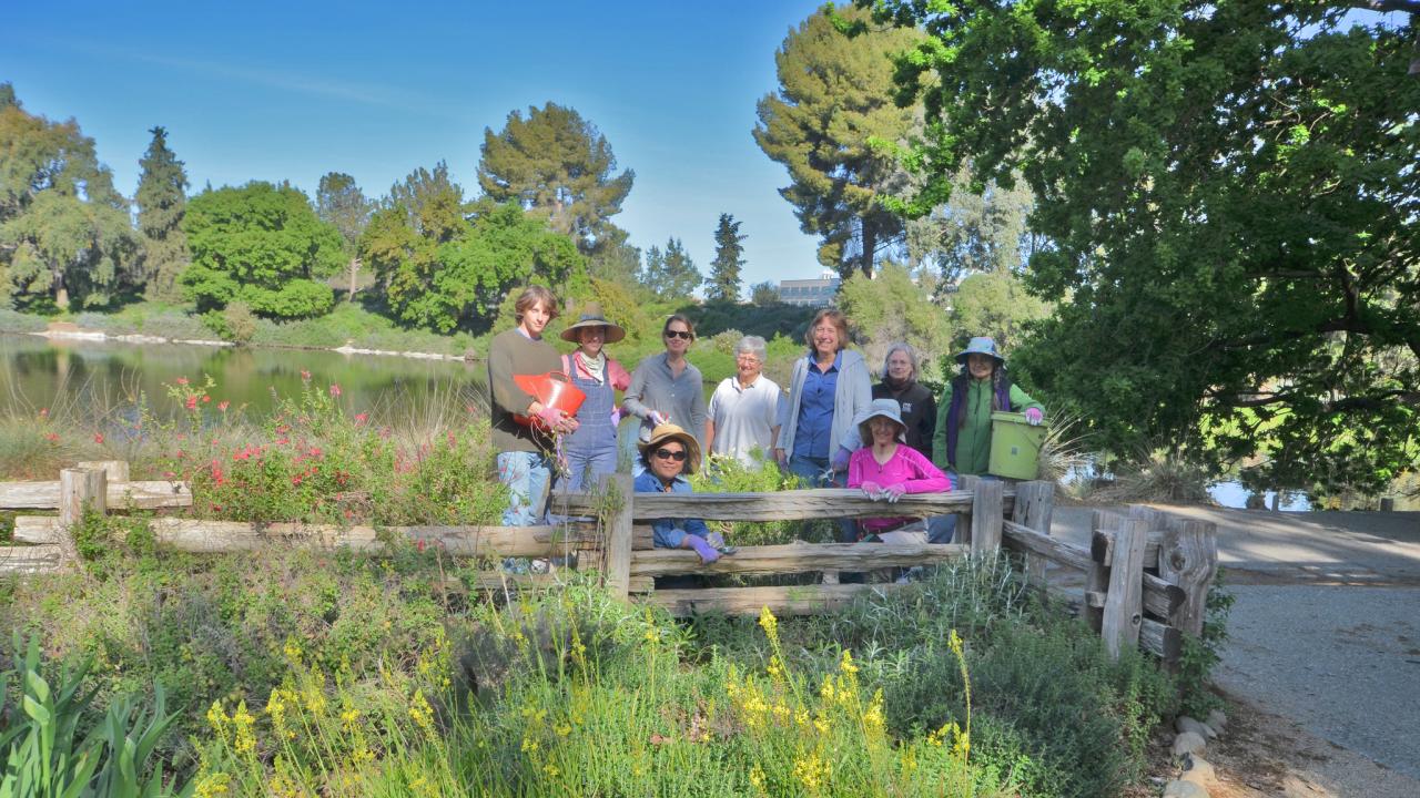 Volunteer | UC Davis Arboretum and Public Garden
